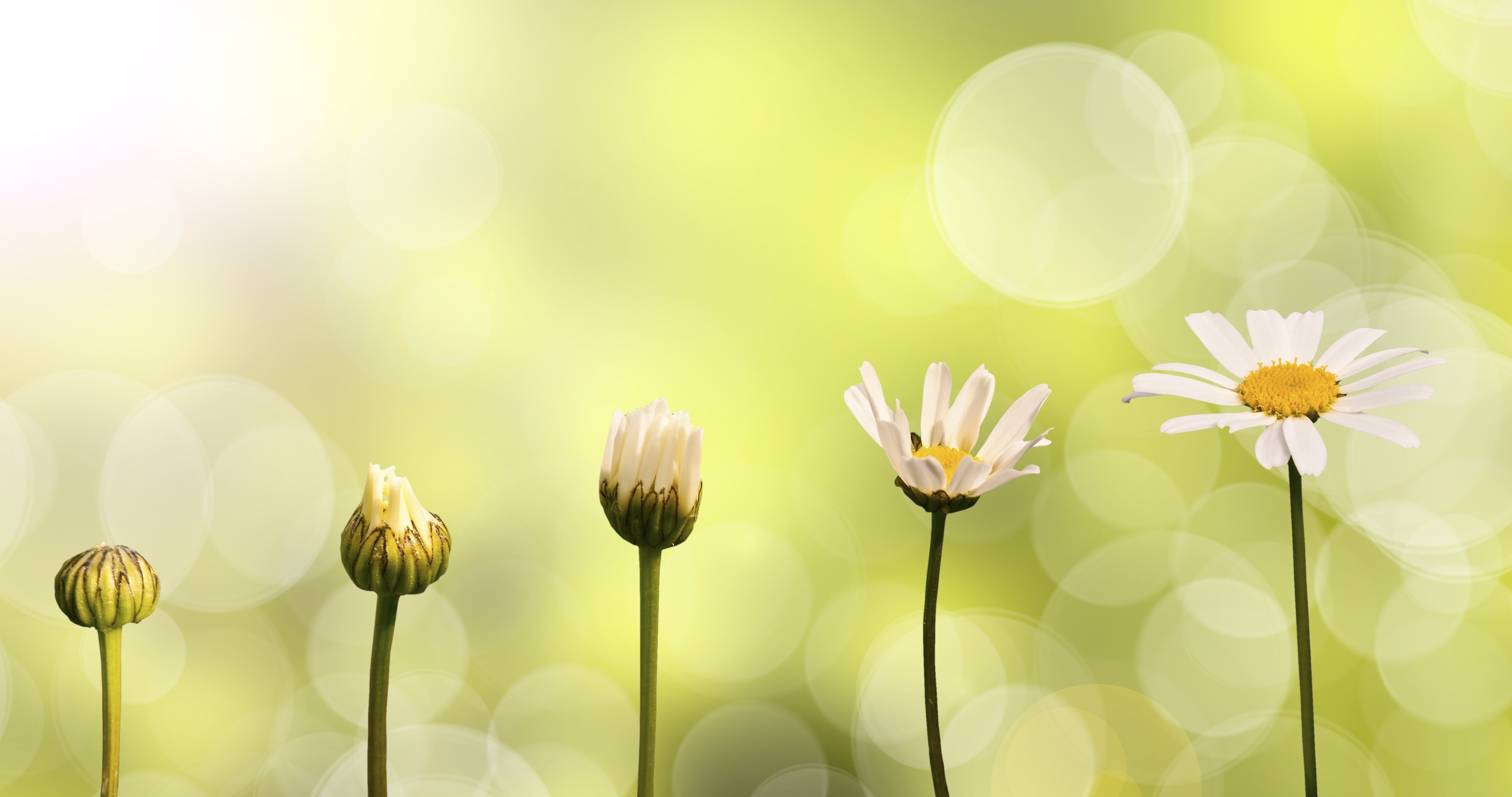 3 Questions To Ask When You re Looking For A Green IT Partner